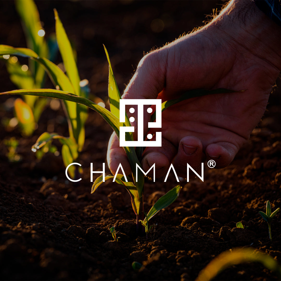 Chaman Store – ChamanStore